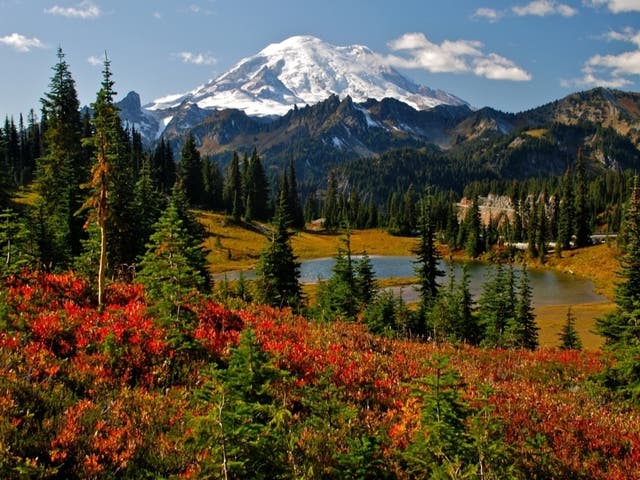 Ticks Are Waking Up In Washington: How To Avoid Getting Sick | Seattle ...