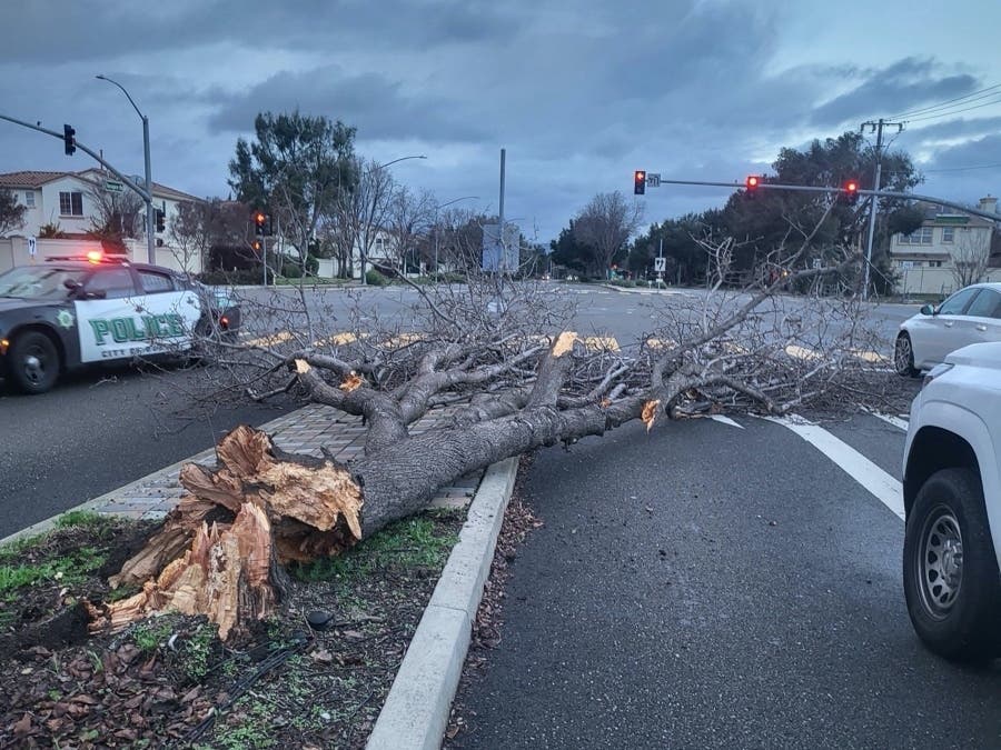Storm Damage, Rain Totals In Dublin | Dublin, CA Patch
