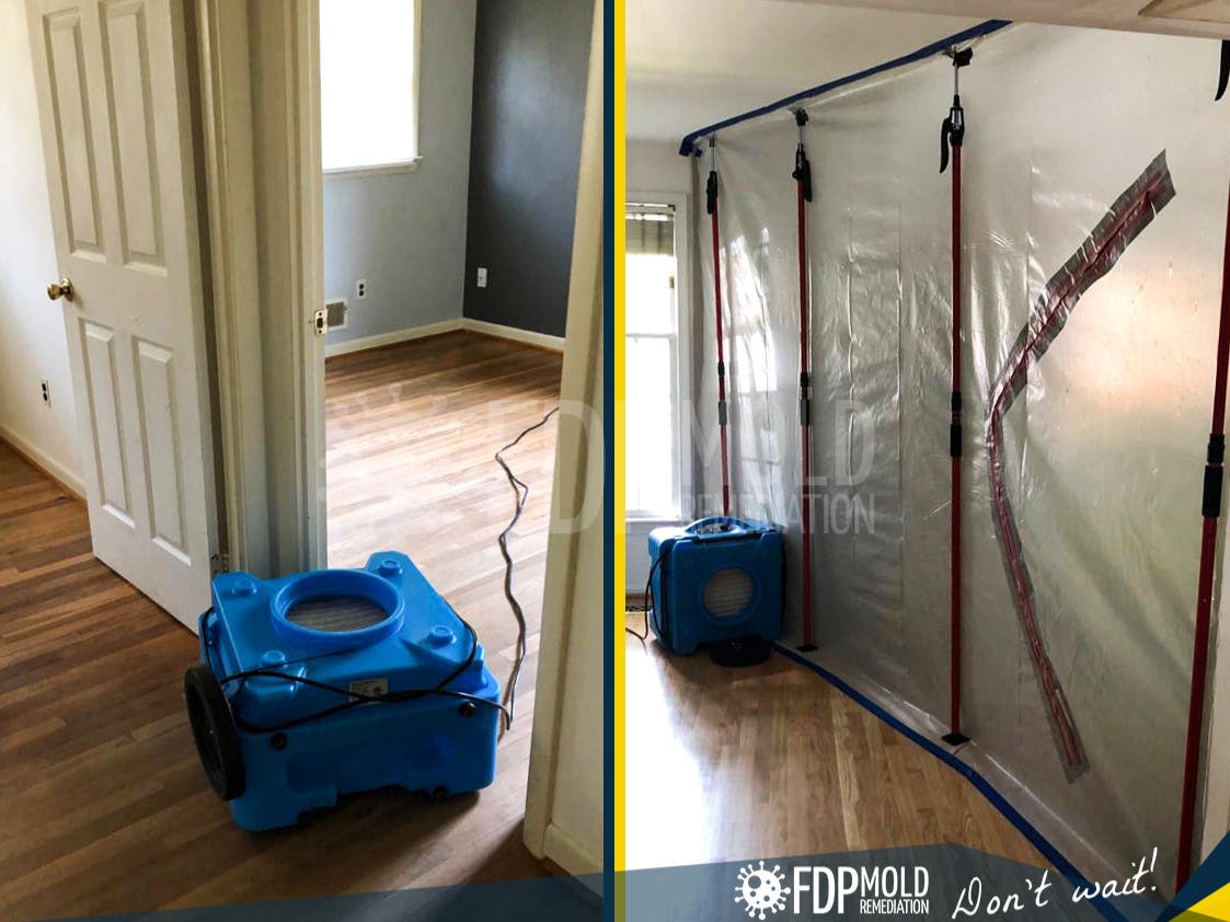 Mold Remediation in Baltimore MD during August mold allergy peak ...