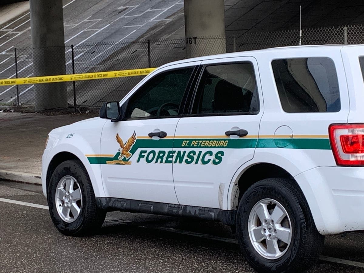 Decomposed Human Head Found By St. Pete Jogger: Police | St. Pete, FL Patch