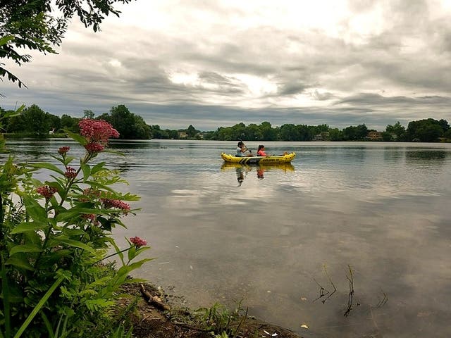National Parks & Recreation Month Activities At Local Parks | Brandon ...