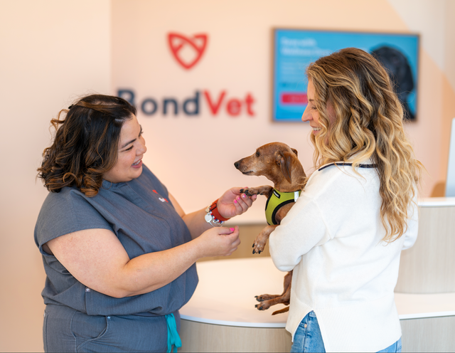 Bond Vet Glenview Celebrates Opening With Ribbon-Cutting Ceremony ...