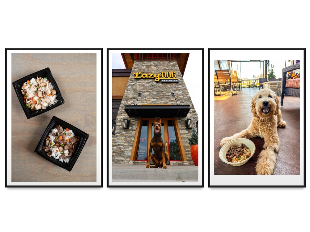 Northbrook's Lazy Dog Restaurant To Feature Special Offer For National ...