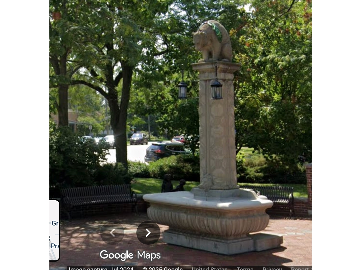 Take Survey On Jackman Park Bear: Village Of Glenview | Glenview, IL Patch