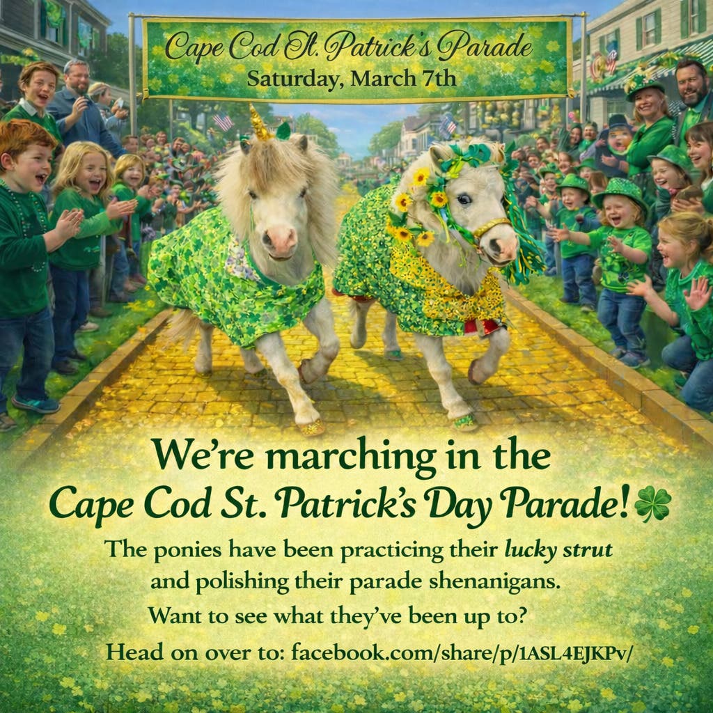 Mar 7 | Cape Cod St. Patrick's Parade | Mashpee, MA Patch