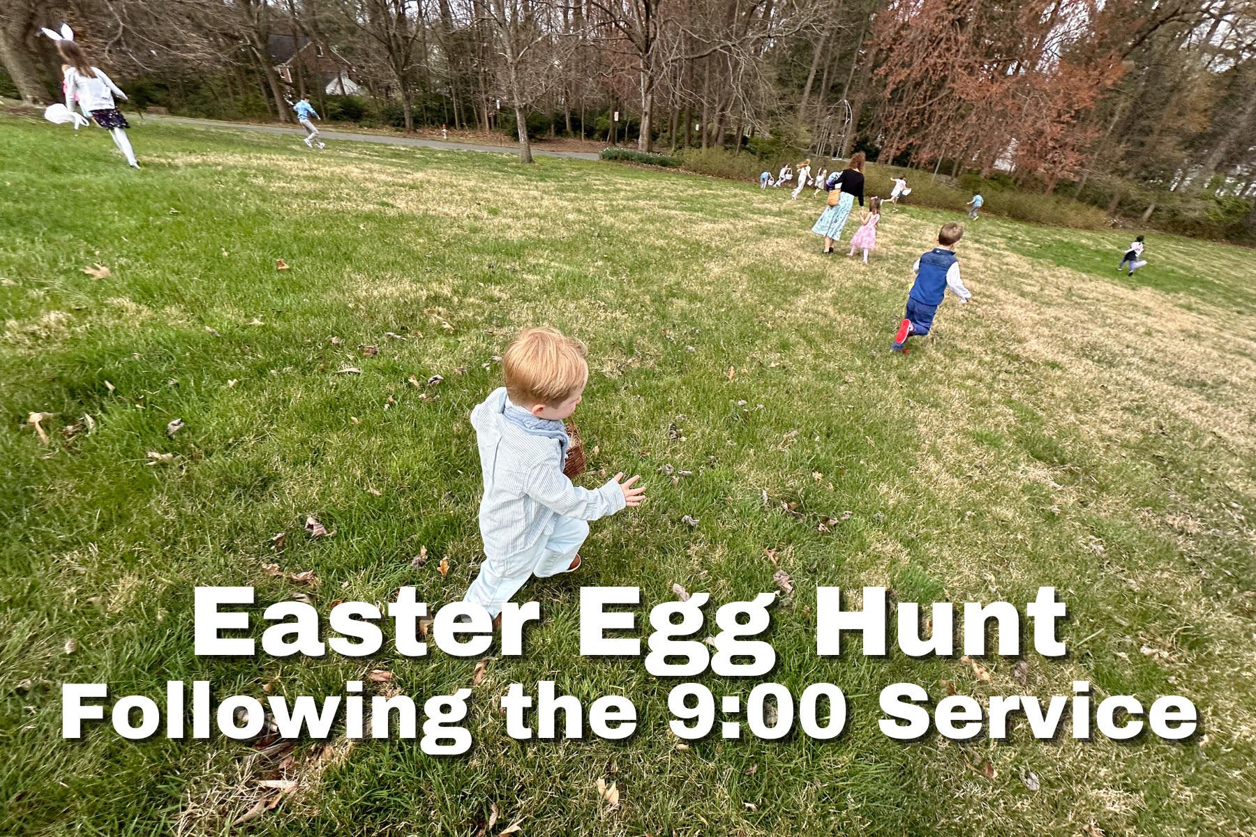 Apr 20 | Easter Egg Hunt | McLean, VA Patch
