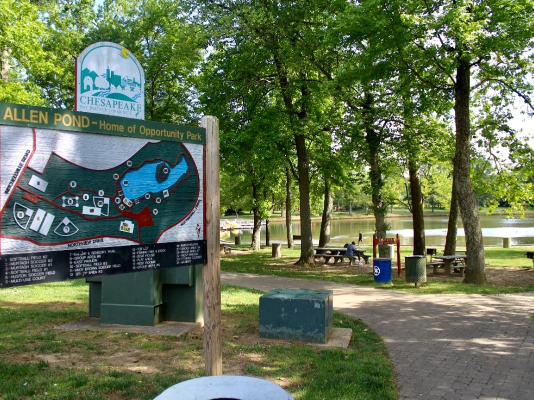 Bowie Will Host Outdoor Movie This Weekend At Allen Pond Park | Bowie ...
