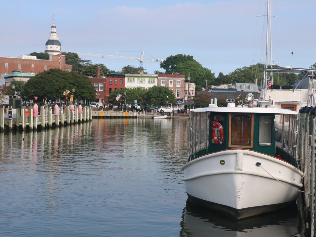 New Ward 1 Alderman Selected To Join Annapolis City Council | Annapolis ...