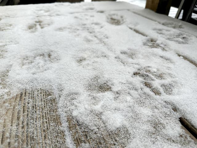 First Of 3 Winter Storms Aims For MD | Towson, MD Patch