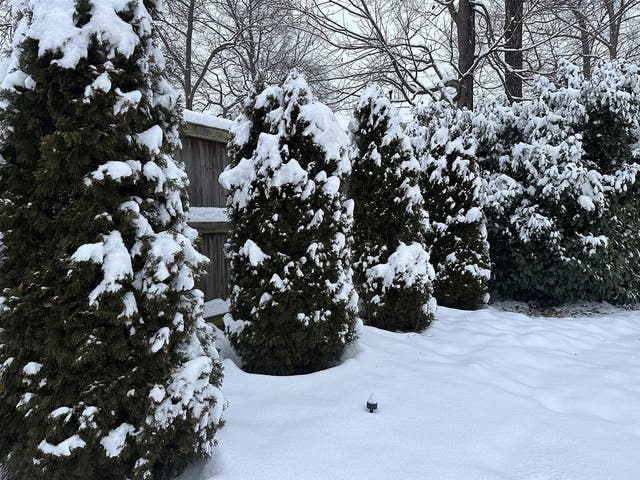 'Rapidly Deteriorating' MD Weather: Heavy Snowfall Prompts NWS Warning ...