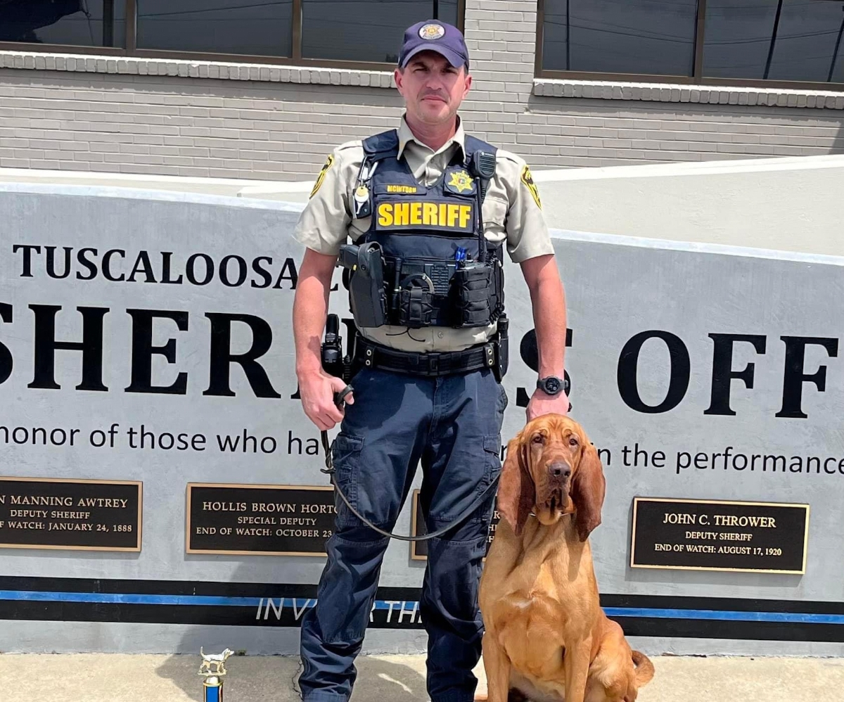 TCSO K9 Annie Oakley Earns Prestigious 'Rookie Of The Year' Honors ...