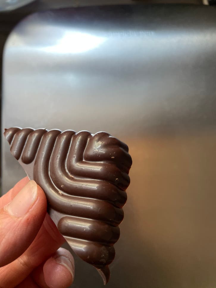 Princeton Gets Buzzy With Bent Spoon's Cicada Ice Cream | Princeton, NJ ...