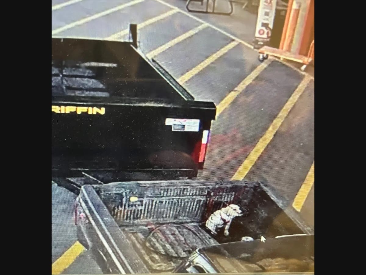 East Brunswick Residents Charged For Abandoning Dog In Old Bridge ...