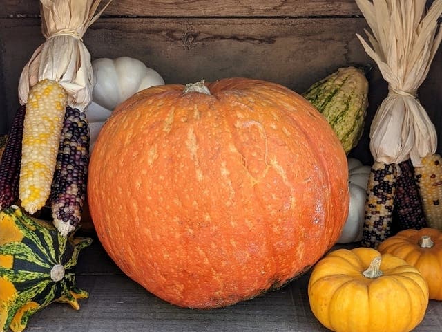 Edison Schedules Fall Family Spectacular For Saturday | Edison, NJ Patch