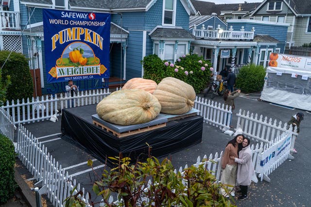 'Monster': Pumpkin Weighing 2,471 Pounds Wins Half Moon Bay Contest ...