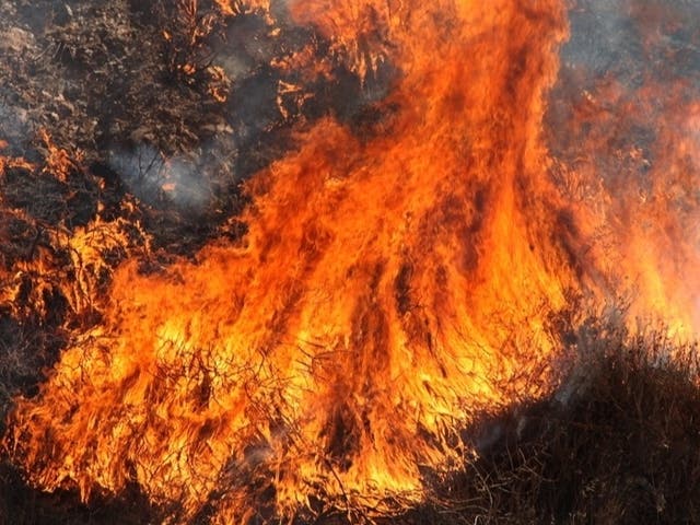 Crews Work To Quell Temecula House Fire | Temecula, CA Patch