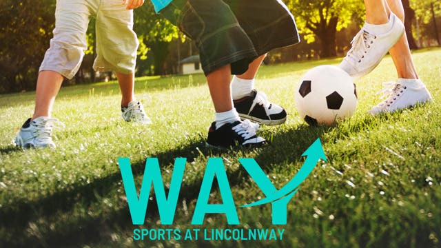 New Lenox Sports News | New Lenox, IL Patch