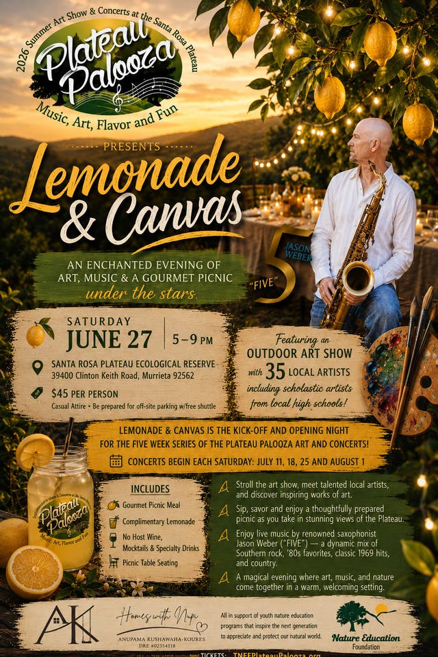 Jun 27 | Plateau Palooza Presents "Lemonade & Canvas" | Lake Elsinore ...