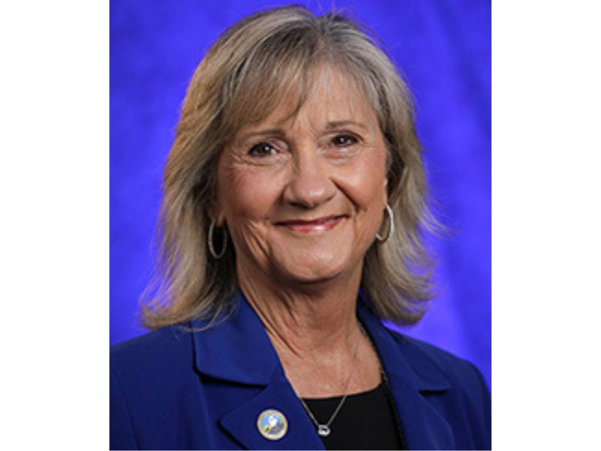 Vanessa Baugh Steps Down From Manatee County Commission: Report ...