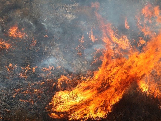 Smoke Advisory Issued As Brush Fire Burns At Camp Pendleton: Officials ...