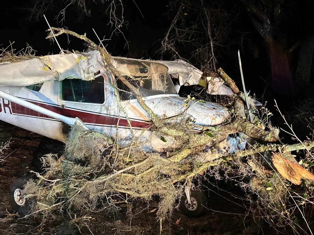 Small Plane Hit Power Lines, Tree During Emergency Landing In Tampa ...