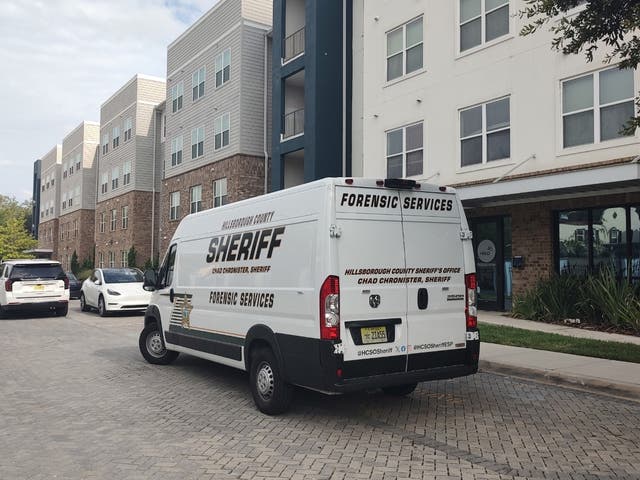 USF Student Suspected Of Stabbing 2 People Found Dead In Tampa: Sheriff ...