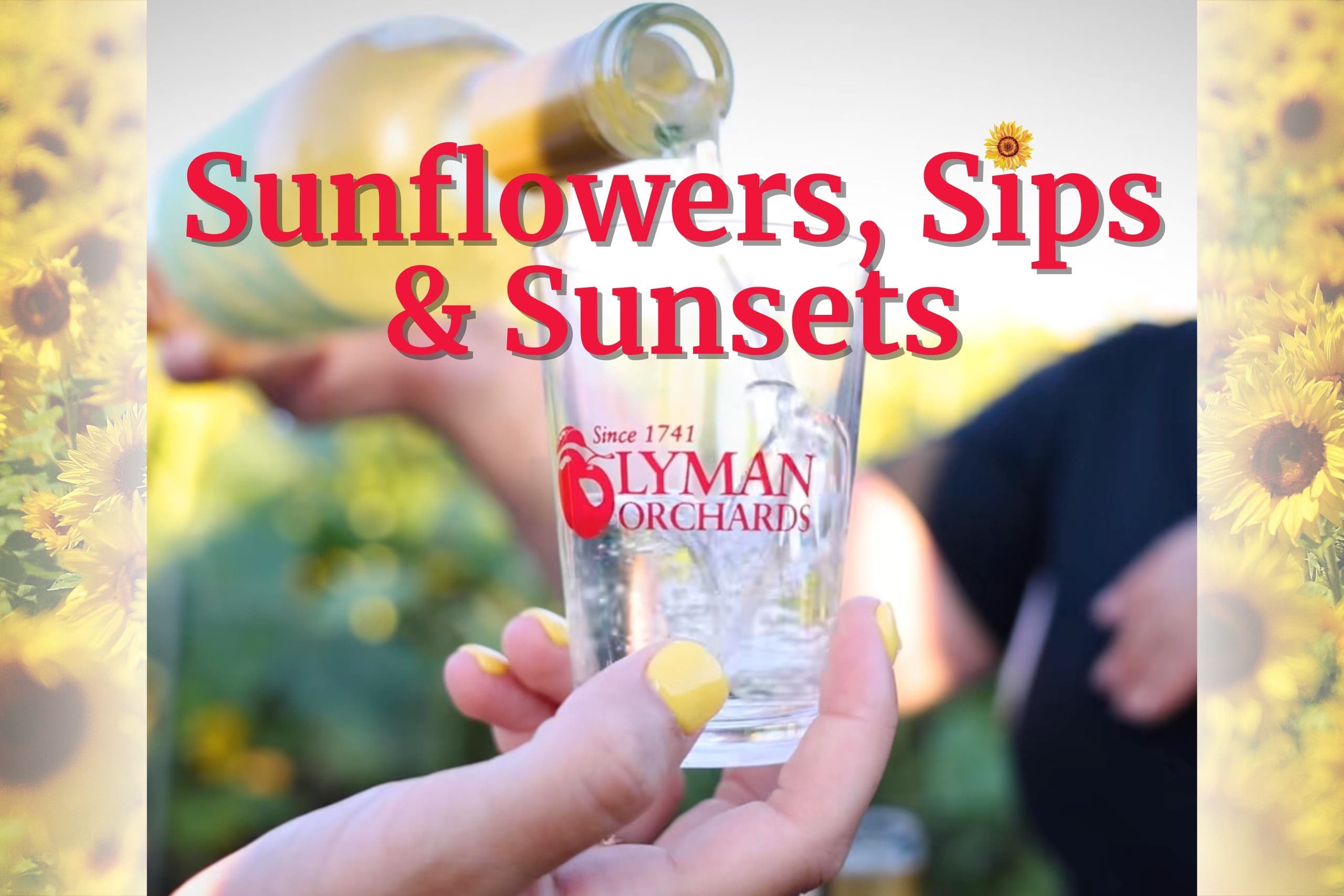 Aug 8 | Sunflowers, Sips & Sunsets at Lyman Orchards Sunflower Maze ...
