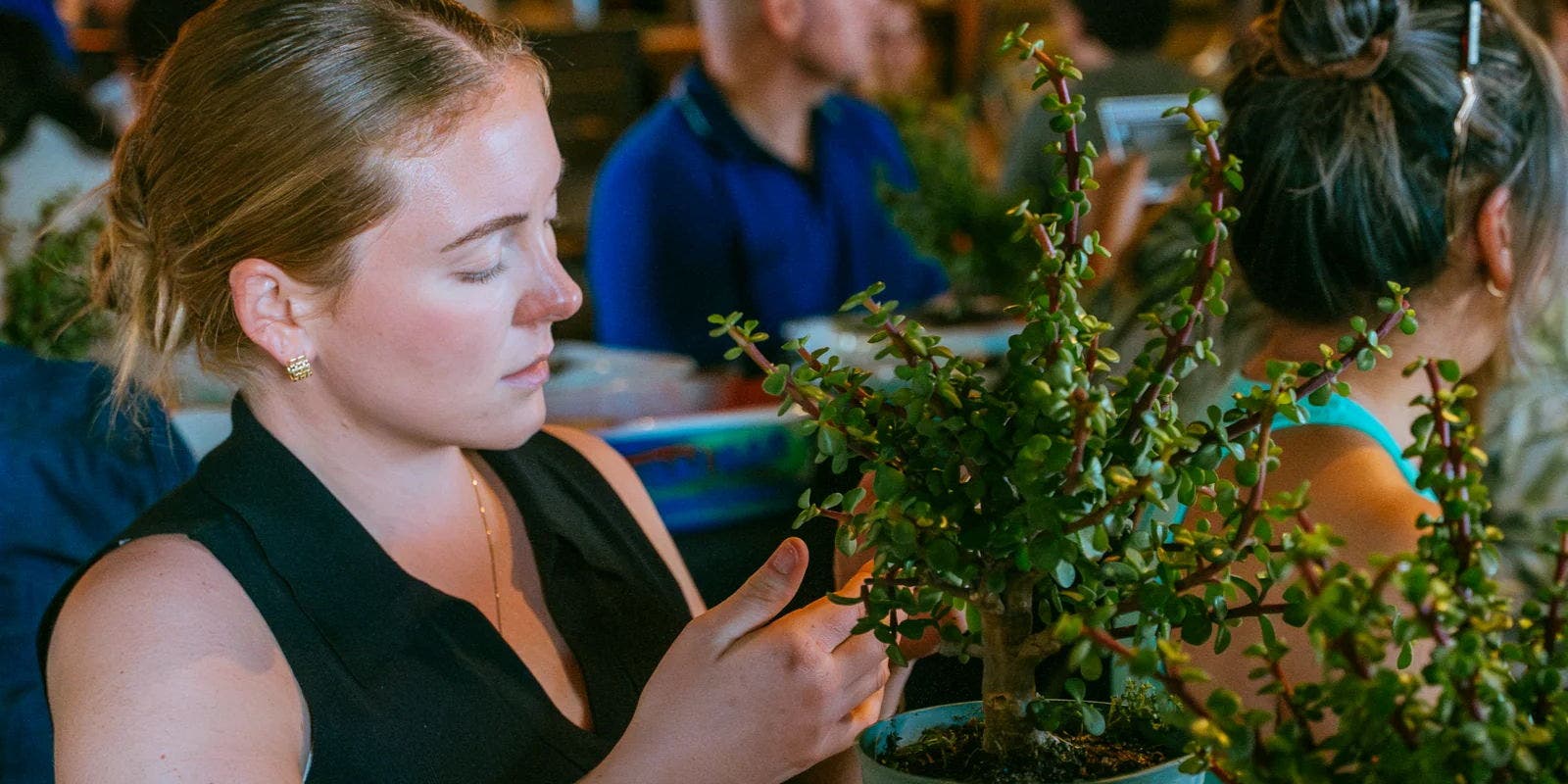 Dec 4 | Bonsai Workshop at The ABGB | Austin, TX Patch