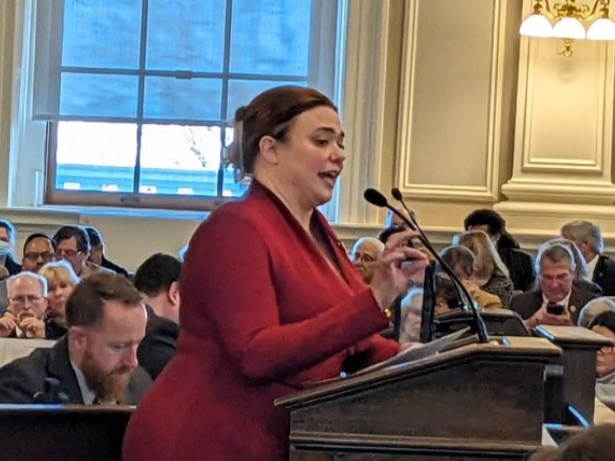 New Hampshire House Democrat's Bill Pushes Fringe Conspiracies ...