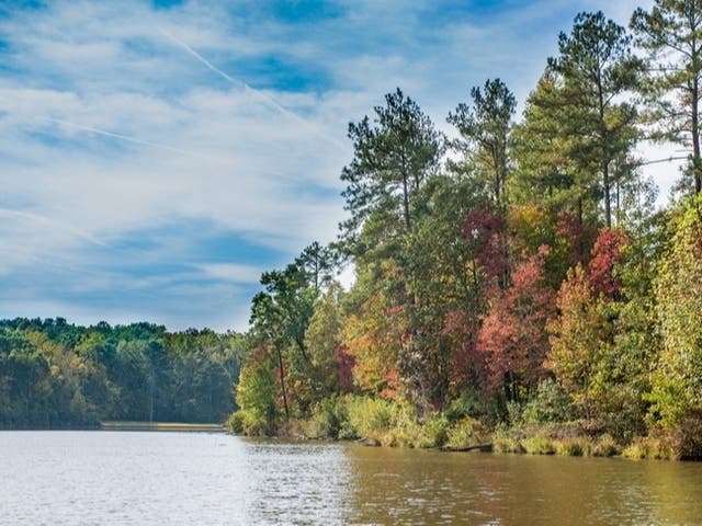 2021 Fall Foliage Peak Map: When Leaves Are Best In Georgia | Atlanta ...