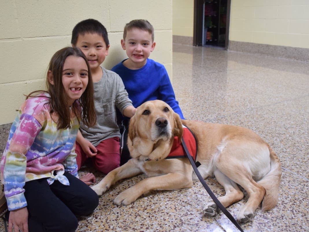 LI Therapy Dogs, 'Fenway' And 'Cutch,' Hit A Home Run With Students ...