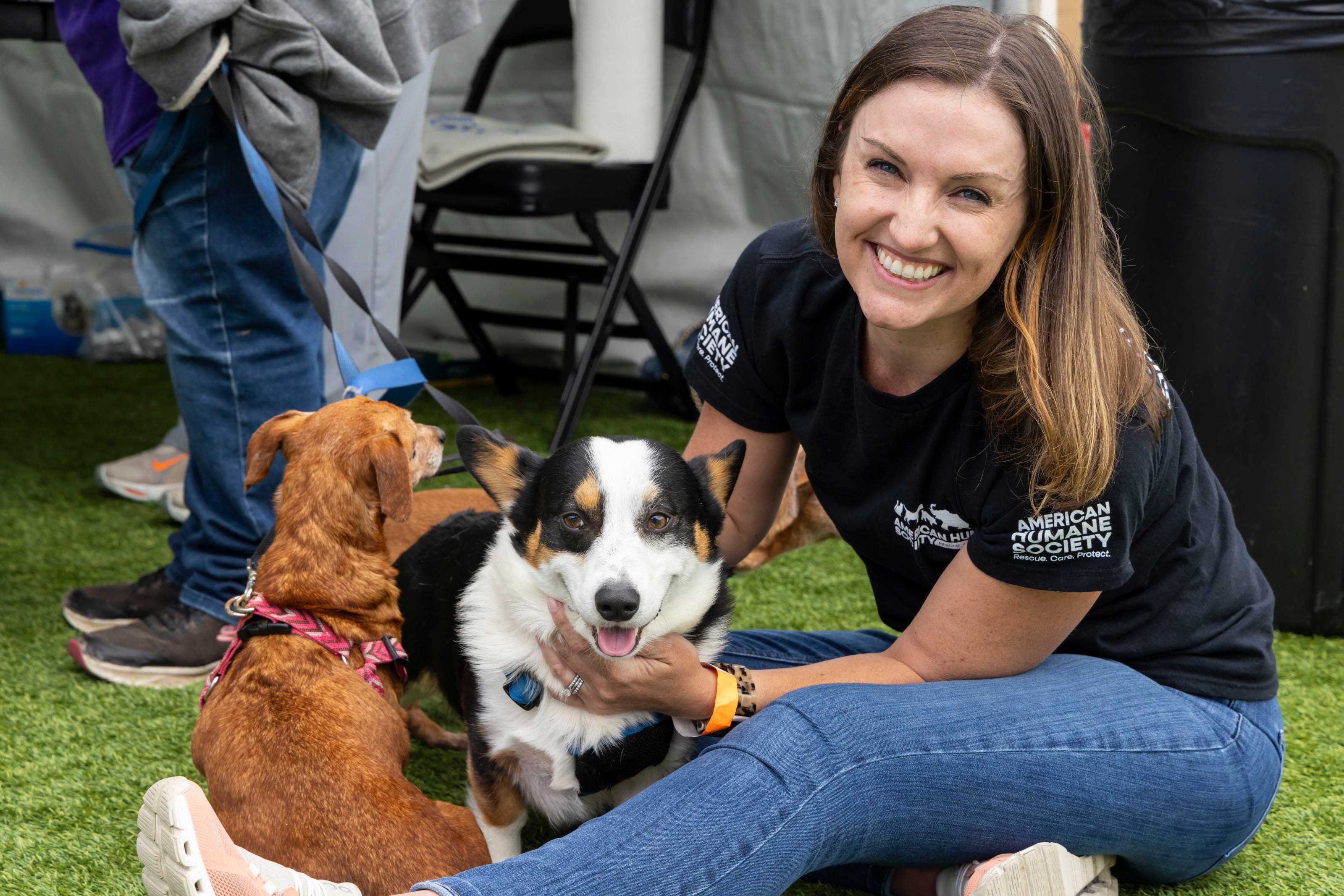 Oct 30 | American Humane Society to Host Free Pet Wellness Clinic at ...