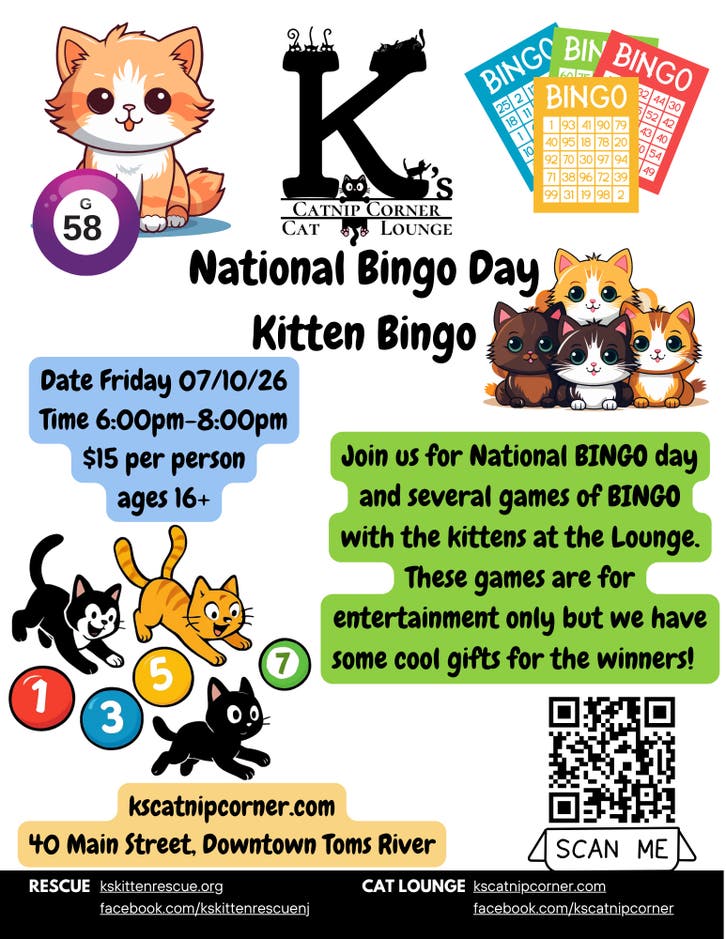 Jul 10 | National Bingo Day - Play With Kittens | Toms River, NJ Patch