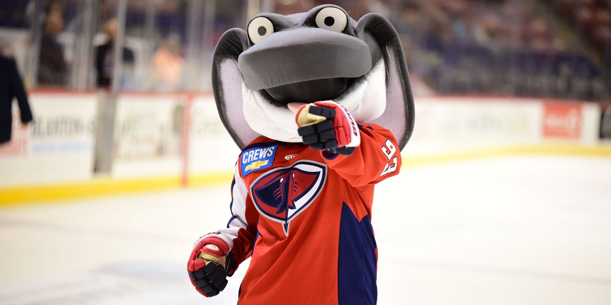 Dec 30 | Stingrays Hockey: Women in Sports Night | Charleston, SC Patch