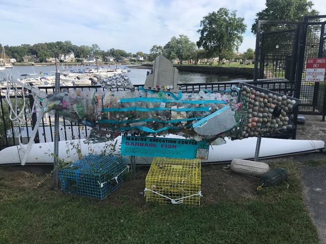 What Is That Thing? The Giant Harbor Island Garbage Fish | Larchmont ...