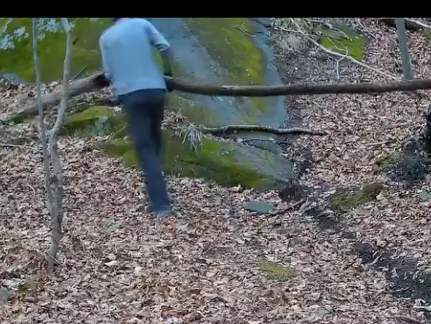 Blue Mountain Reservation Mountain Bikers Purposely Endangered: WCPD ...