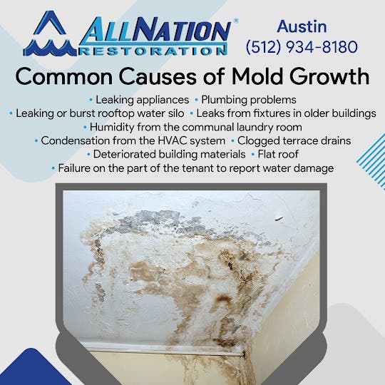 Mold Remediation Specialists Clarifies Know the Indications of Mo ...