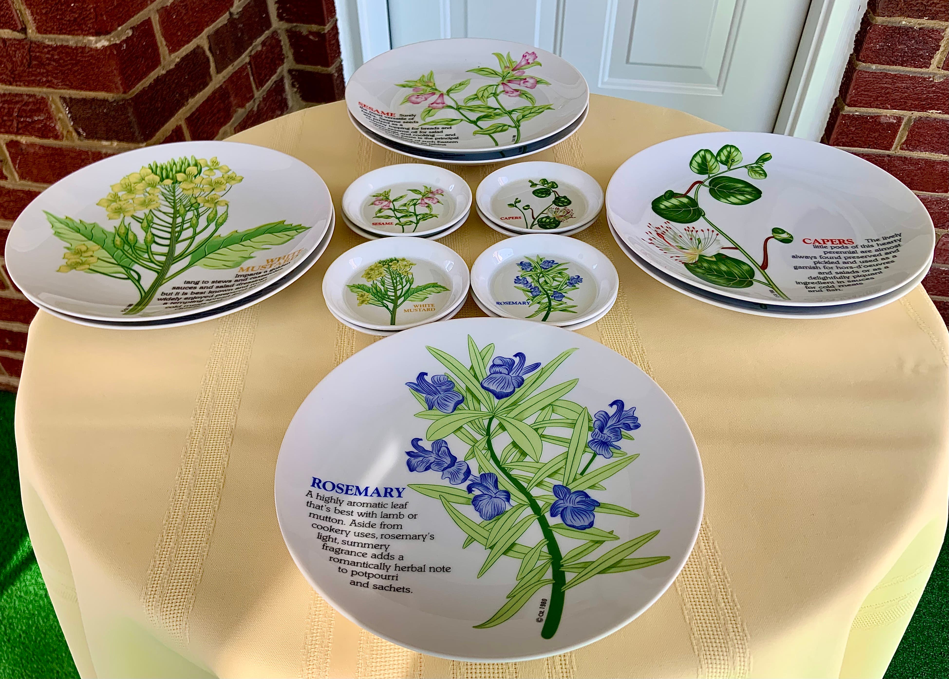 RARE Botanical Herb 23Pc Lunch Plate & Coffee Cup and Saucer Set - $150 ...