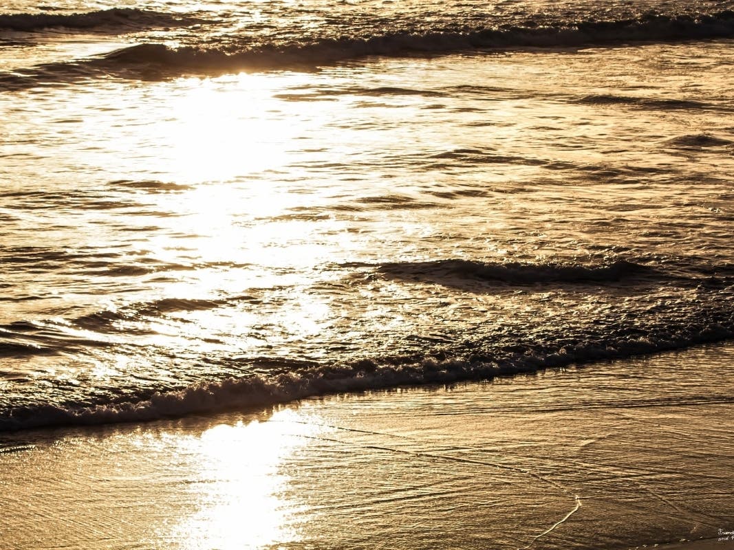 Golden Surf: Oceanside Photo Of The Day | Oceanside, CA Patch