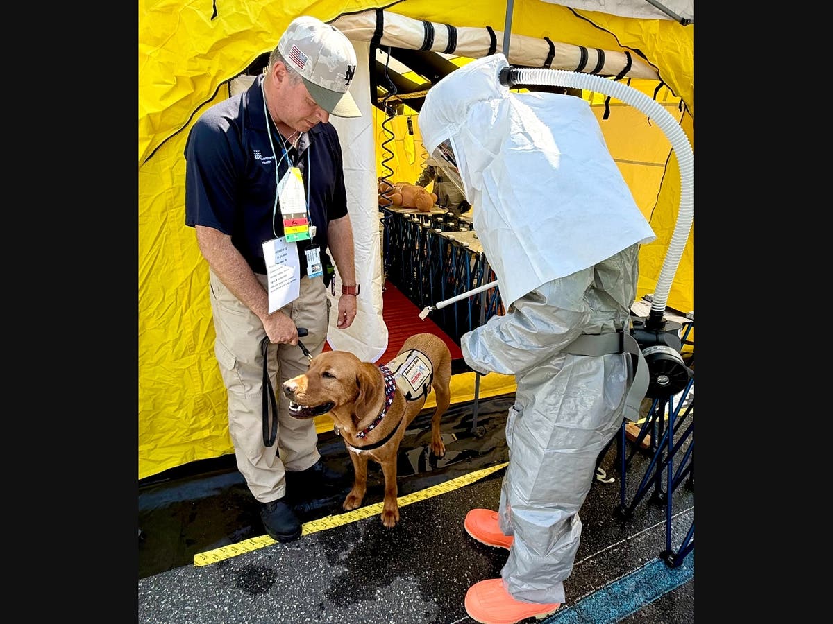 Northwell Holds Mass Casualty Drill With Service Dogs, Hazmat Suits ...
