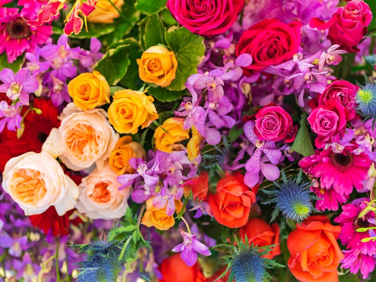 What Is Color Psychology And How Can I Use It To Set The Mood