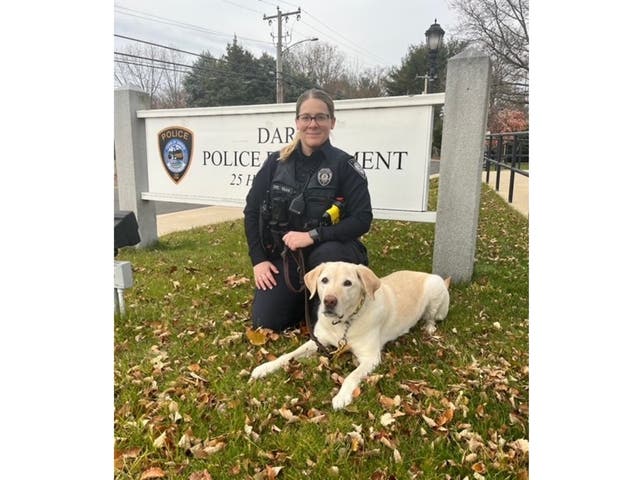 Darien Police K-9 Retires After 5 Years Of Service | Darien, CT Patch