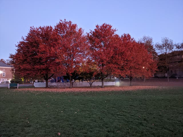 Greenwich In Photos: Seasonal Colors & Wildlife | Greenwich, CT Patch