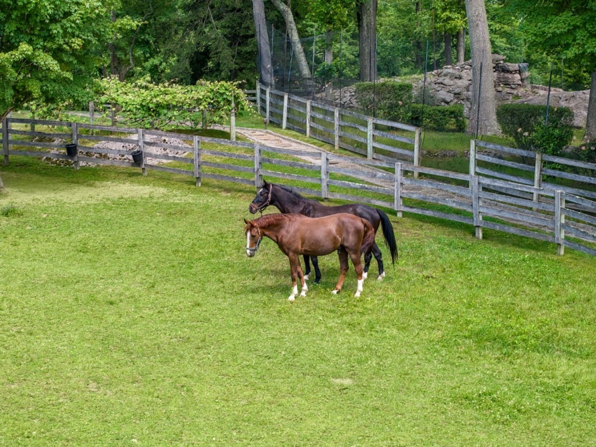 Greenwich's Iconic Quaker Lane Farm To Go Back To Auction | Greenwich ...