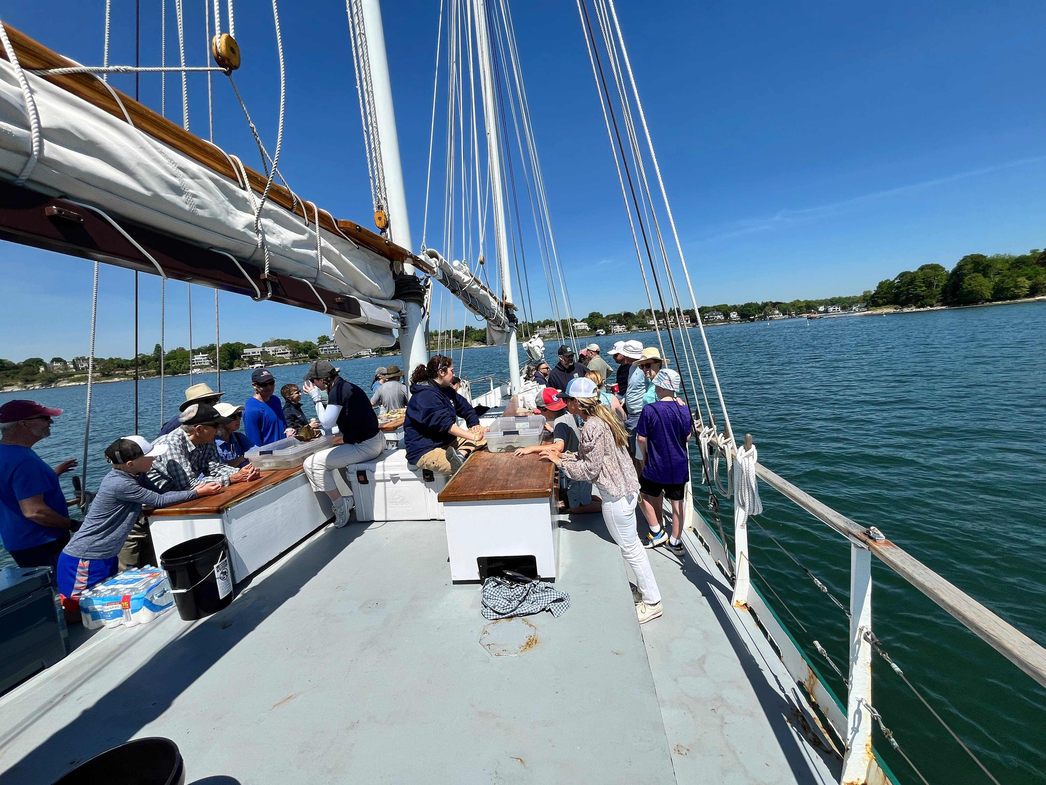 Shell Island Restoration Effort Launched By SoundWaters, Greenwich Land ...