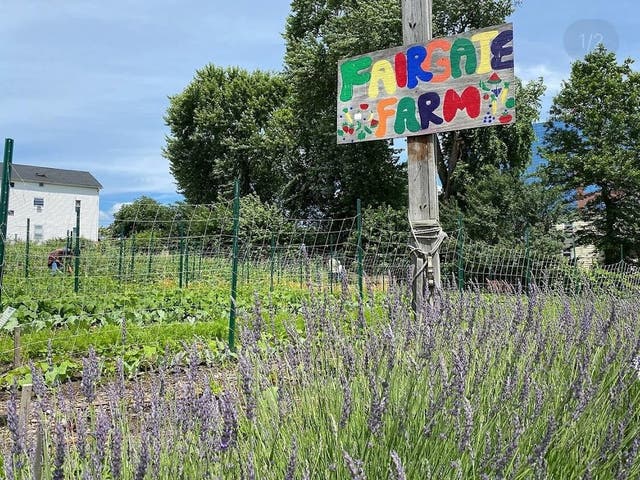 Fairgate Farm To Celebrate Community Impact With Upcoming Event In ...