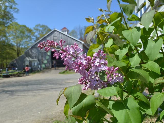 When Is The First Day Of Spring: Things To Do In Geneva | Geneva, IL Patch