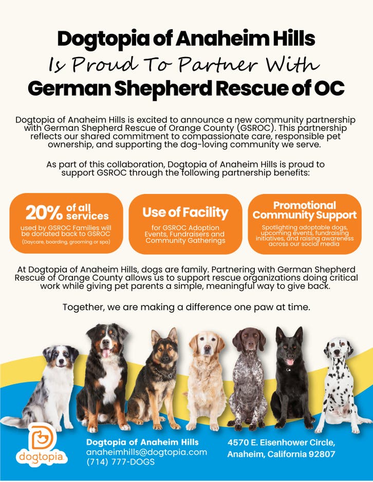 Jun 27 | German Shepherd Rescue of OC Adoption Event | Orange County ...