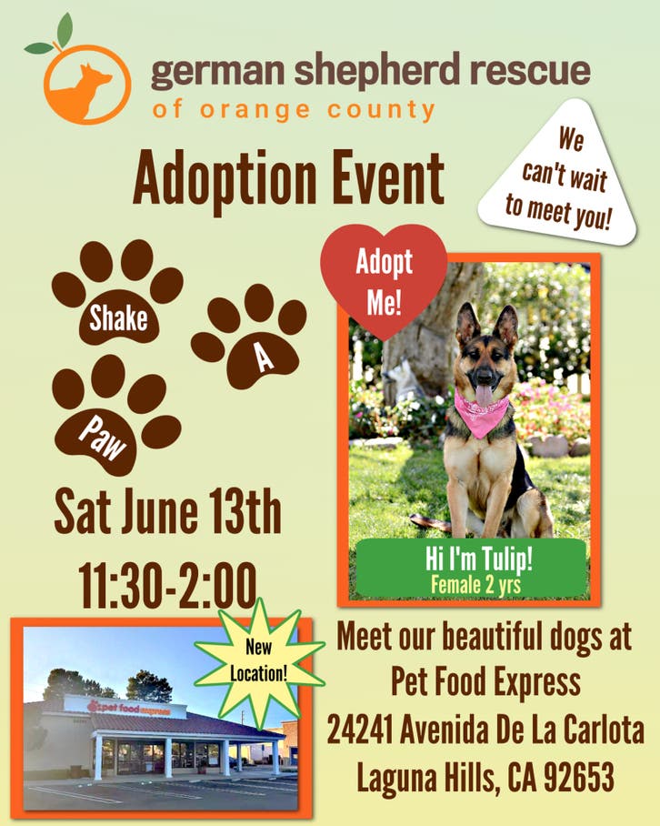 Jun 13 | German Shepherd Rescue of OC Dog Adoption Event! | Laguna ...