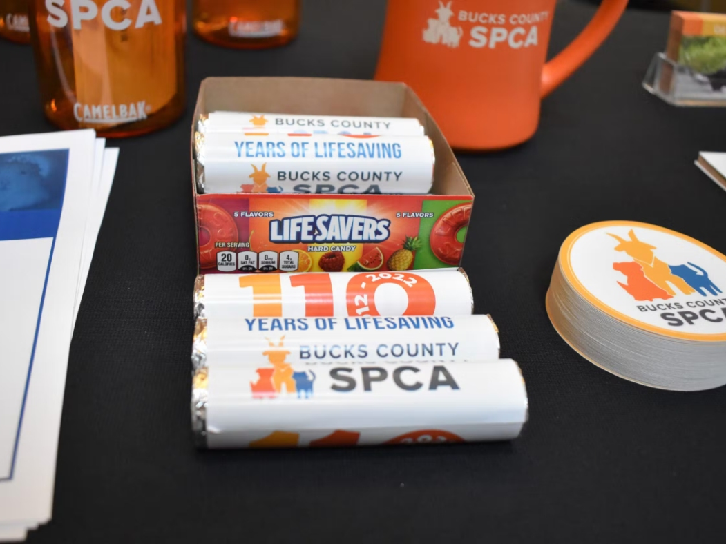 Bucks County SPCA Turns 110 Years Old: See Birthday Photos | New Hope ...